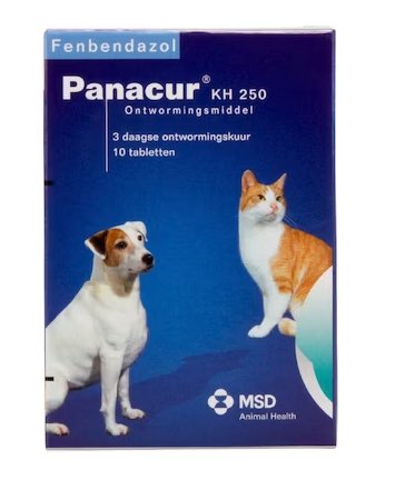 Hond ontwormen - how to, tips & de beste wormmiddelen | Dierennieuws.nl